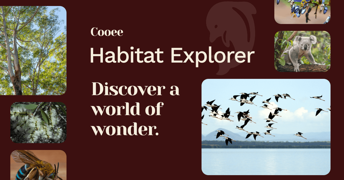 Flora & Fauna - Stockland Aura Habitat Explorer